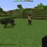 CombatPets - Battle Pets with Leveling | BuiltByBit